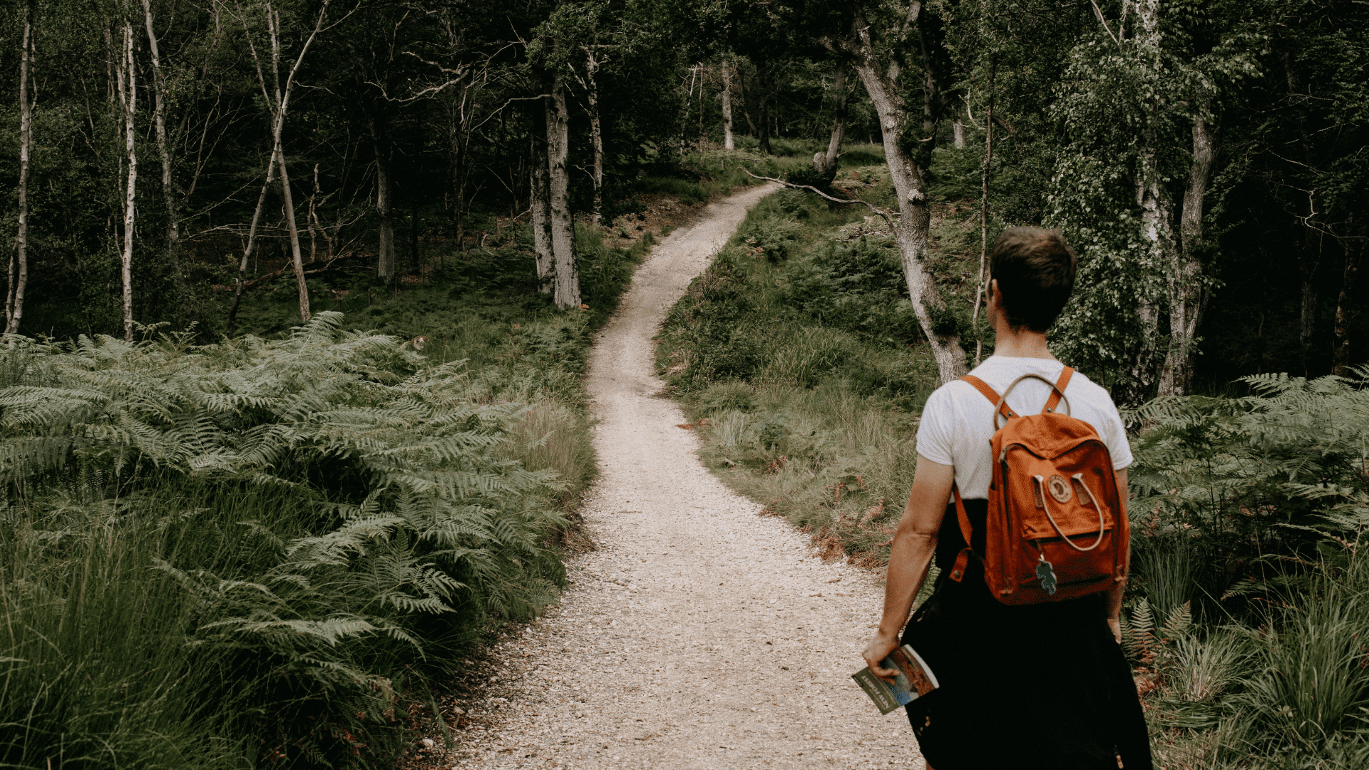 Effective Discipleship Strategy | The Ultimate Guide Effective Discipleship Strategy | The Ultimate Guide