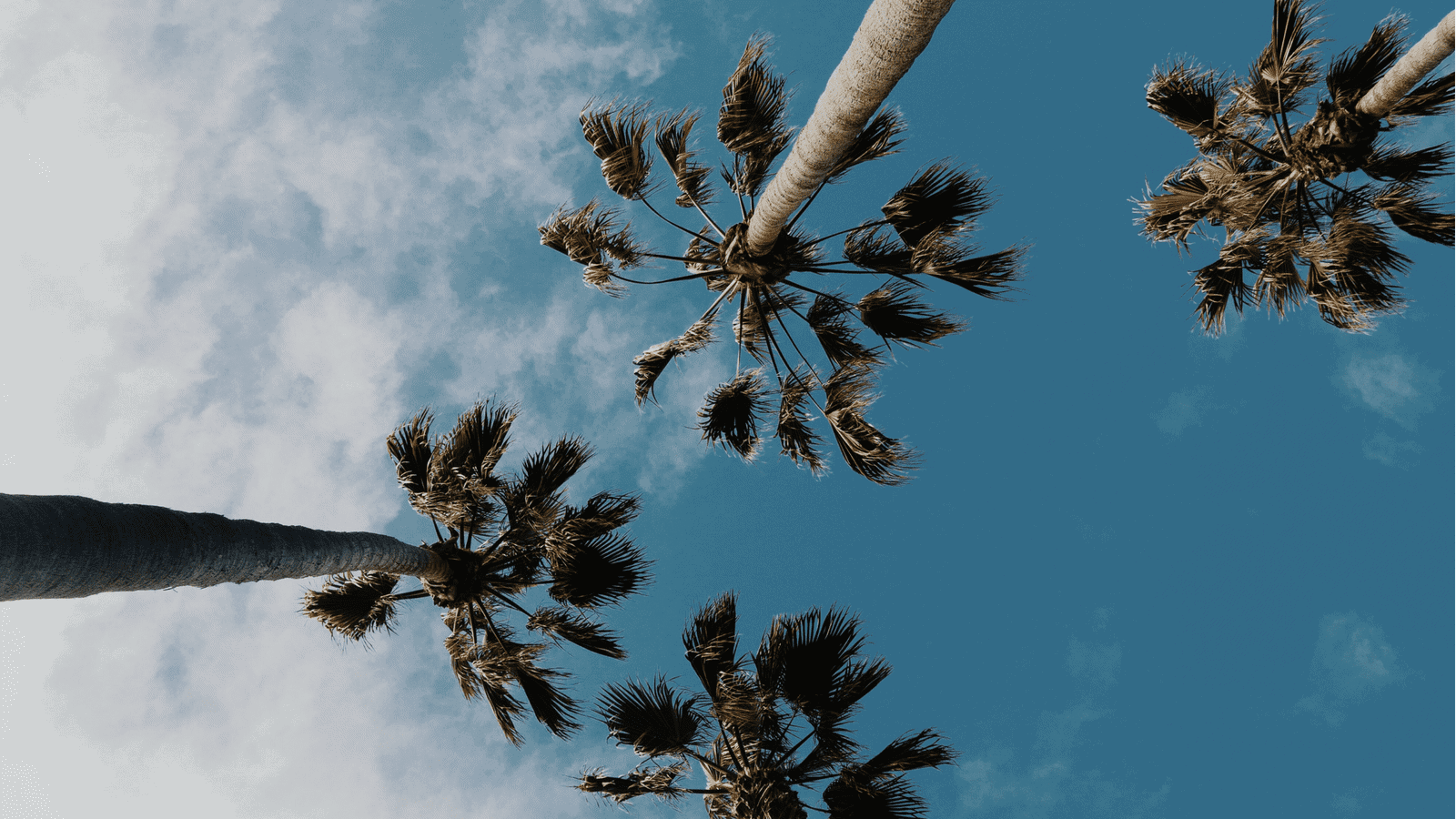 3 Ways to Stop the Summer Slump